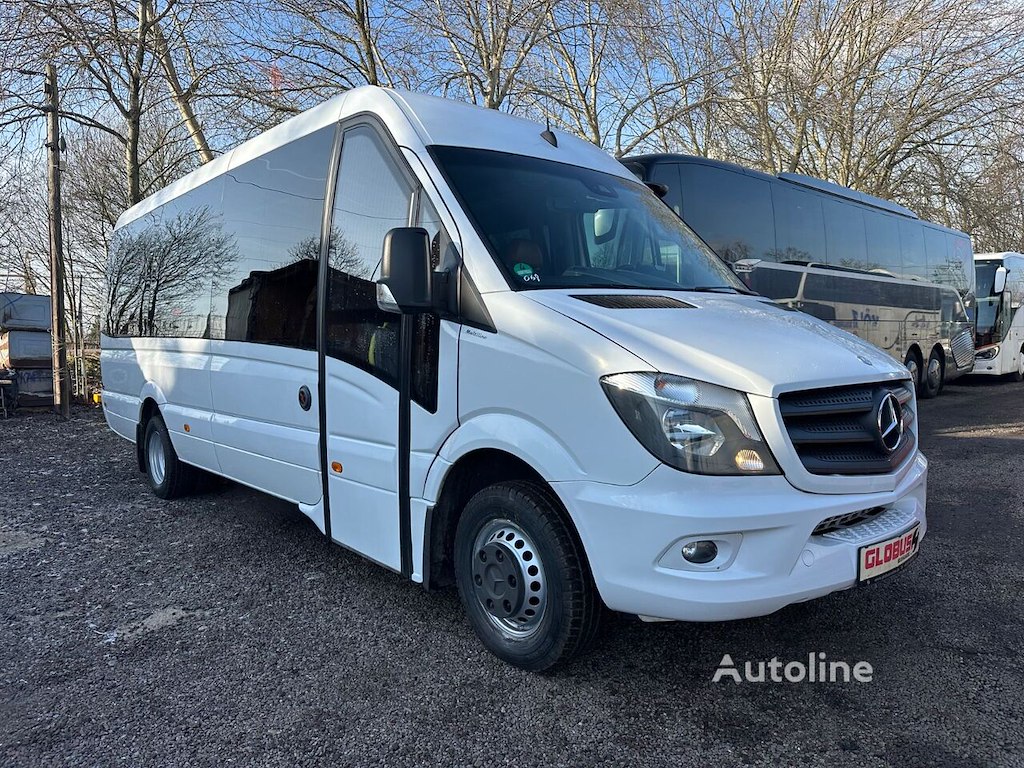 Mercedes-Benz Sprinter Altas 516 CDi Multiline (DE*AC*Reise) putnički minibus