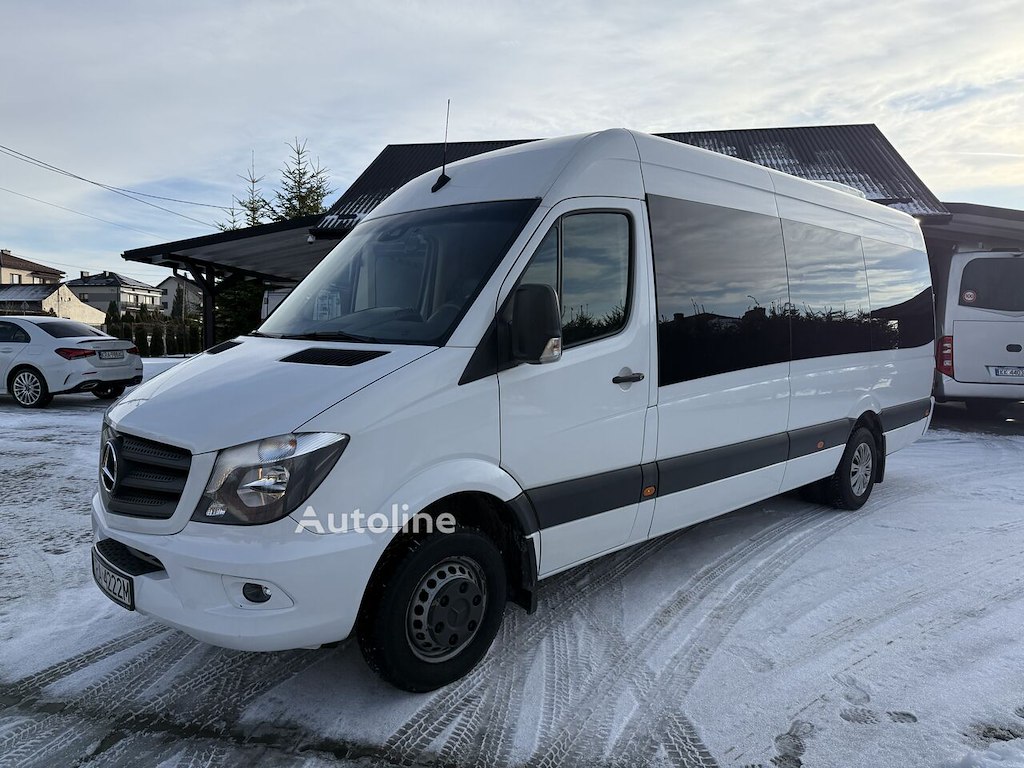 Mercedes-Benz Sprinter 516 putnički minibus