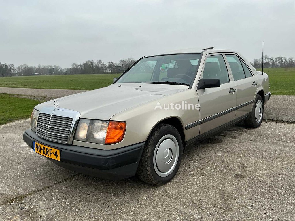 Prodaje se Mercedes-Benz 200-500 (W124) 250D sedan na aukciji