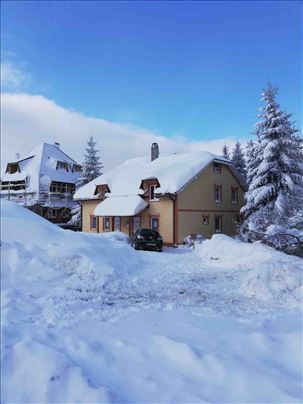 Kopaonik, Naselje Treska, kuća, 9 apartmana ID#174