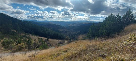 Zlatibor, Dobroselica, kuća+2,9 ha zemljišta