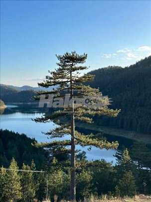 Tara jezero zaovine plac 17ari sa gradj.dozvolom