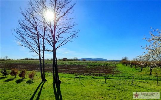 Odlična investicija za vikend naselje, Mladenovac,