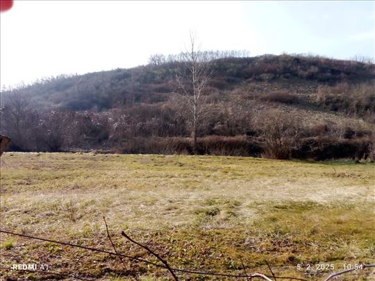 Vrdnik plac 1569m2 grdjevinsko zemljište HITNO!