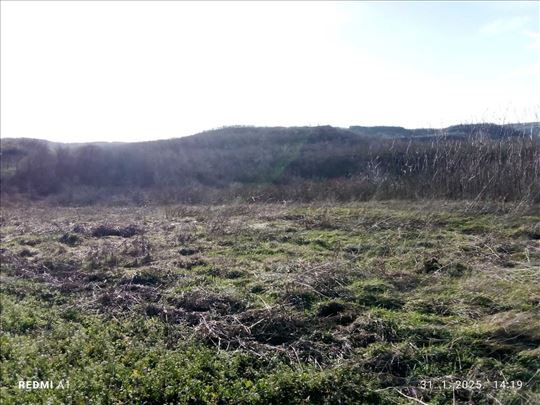 Plac 5100m2 gradjevinsko zemljište Dumbovo HITNO!