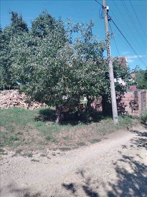 PLAC 14,5a u urbanom delu, Gabrovački put, 500m od