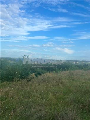 Avala, Trešnja 164 ara - Plac na prodaju