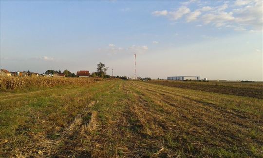 Novi Banovci plac 58a građevinsko zemljište