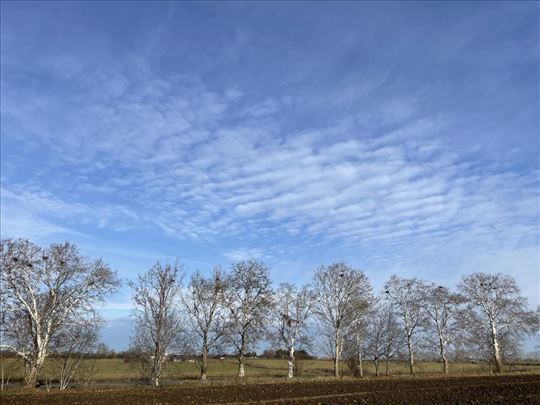 Gradjevinsko zemljište na prodaju , Zemun