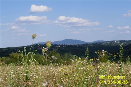 Barajevo, Beljina - Karađorđeva