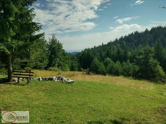 Plac na planini Tara - Uknjižen