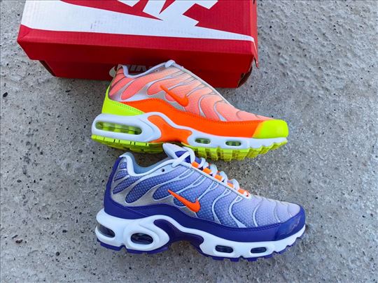 Nike Air Max Plus TN Color Flip