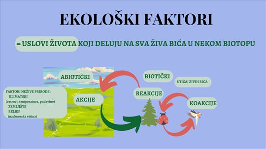 Časovi biologije i priprema za završni test