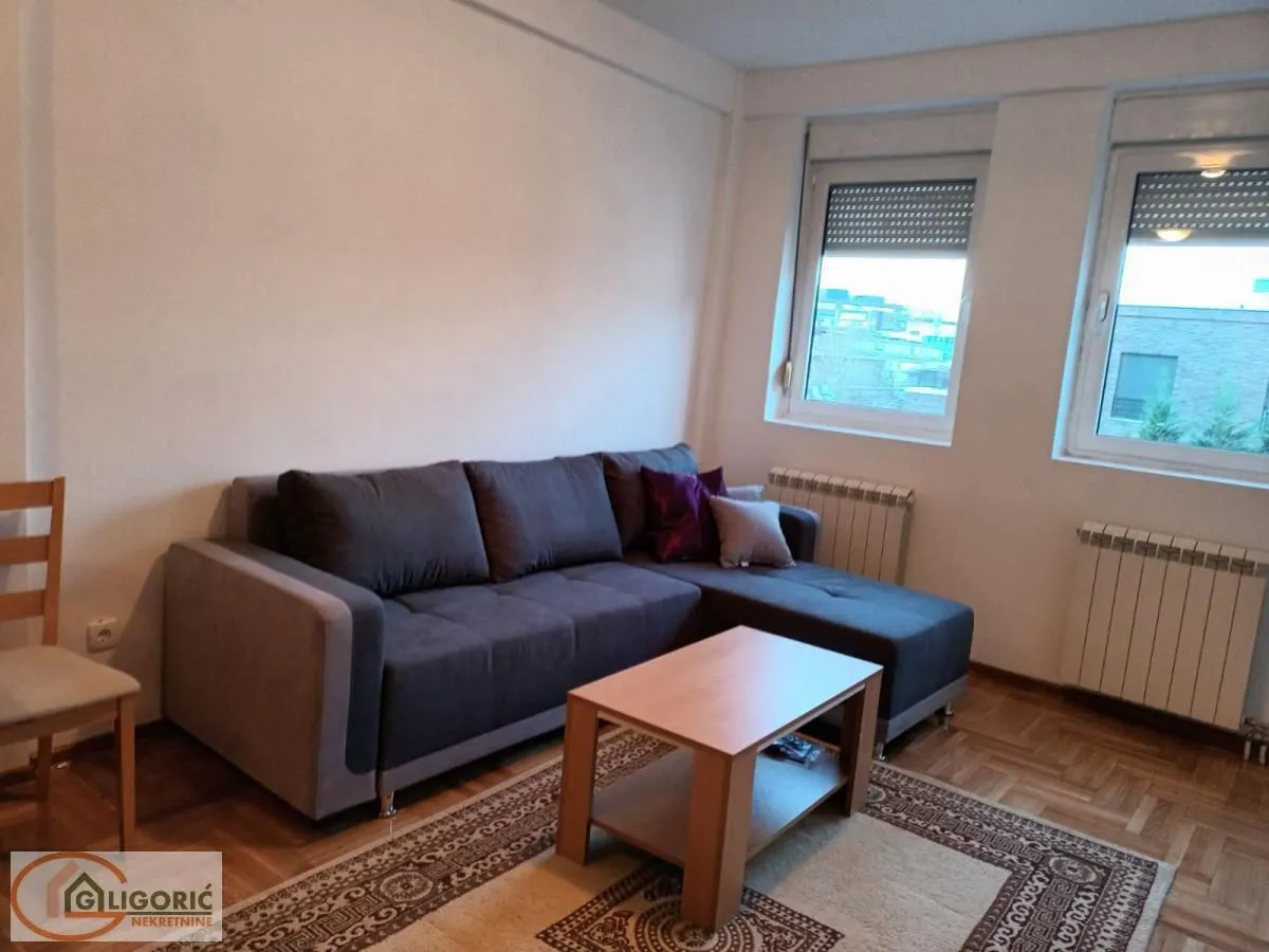 Izdavanje, dvosoban stan, 43m2, Vračar, Beograd