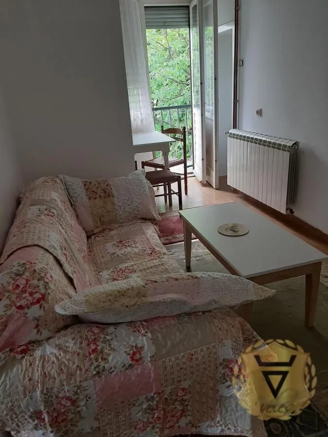 Izdavanje, dvosoban stan, 58m2, Dorćol, Beograd