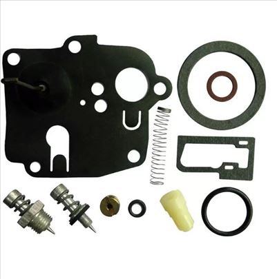 Set za reparaciju karburatora Briggs & Stratton 49