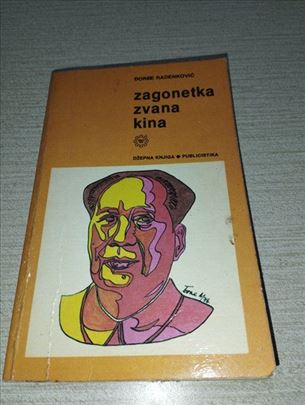 Zagonetka zvana Kina - Djordje Radenkovic