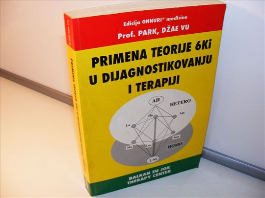 Primena teorije 6Ki u dijagnostikovanju i terapiji