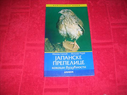 Japanske prepelice - Milos Gancic Isidor Rajic