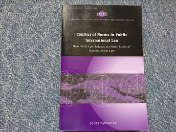 Conflict of Norms in Public International Law