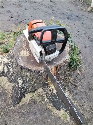 stihl ms 260 original