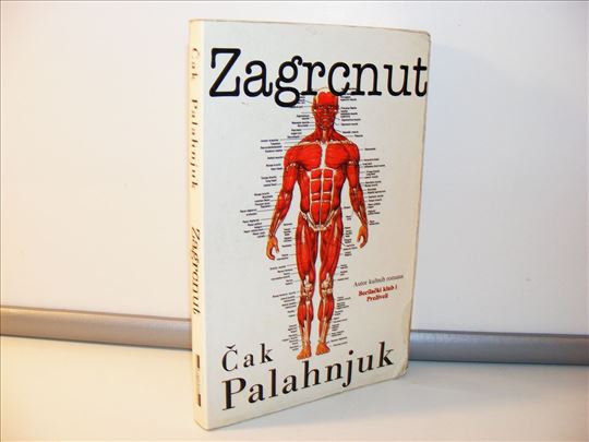 Zagrcnut čak palahnjuk