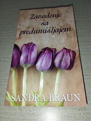 Zavodjenje sa predumišljajem - Sandra Braun