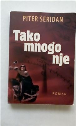 Tako mnogo nje - roman