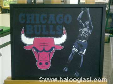 Chicago bulls