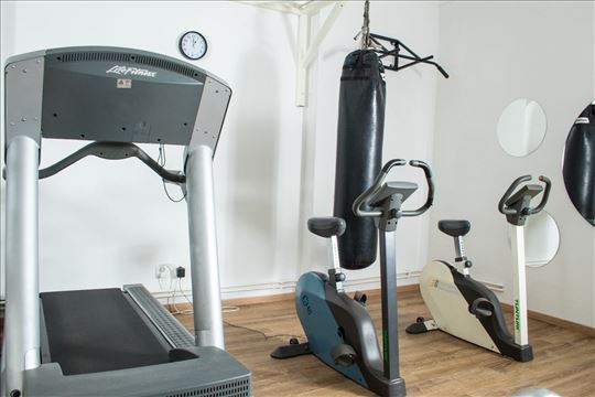 Life Fitness 95 TI