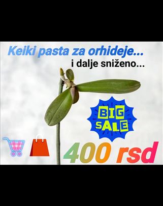 Keiki pasta za orhideje, kaktuse, sukulente