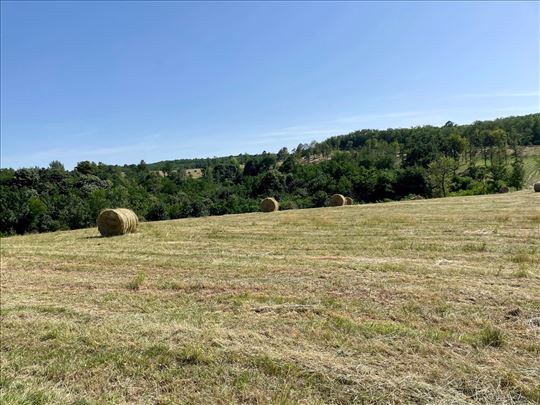 Seno u rolo balama/ planinsko