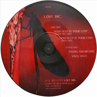 Love Inc. - How Deep Is Your Love Vinyl