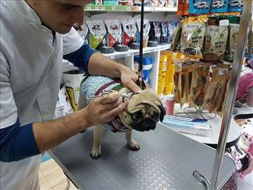 Pet shop Belvil Novi Beograd