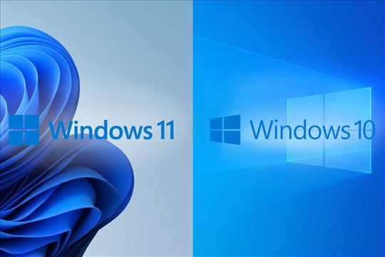 Windows 10 /Windows 11 Professional lifetime