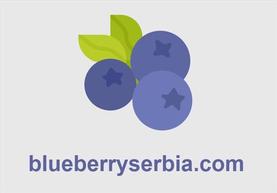 Prodajem domen blueberryserbia.com