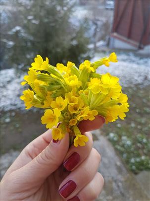 Nudimo usluge staranja i zdravstvene nege