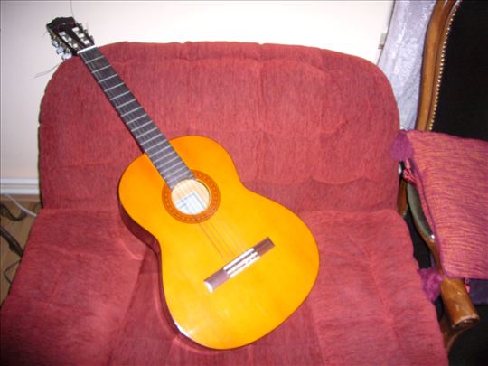 Akustična gitara