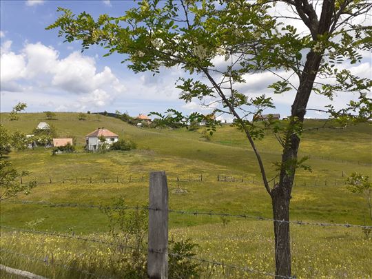 Zlatibor, kuća za izdavanje