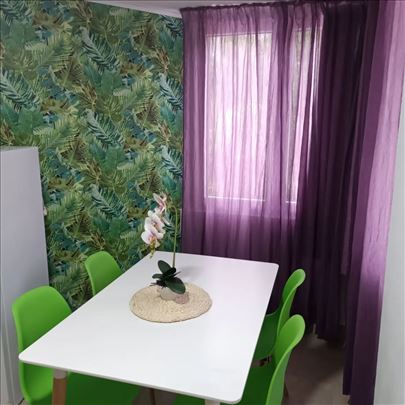 Apartmani Plavšić Čanj