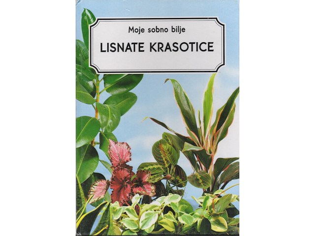 LISNATE KRASOTICE (Moje sobno bilje)