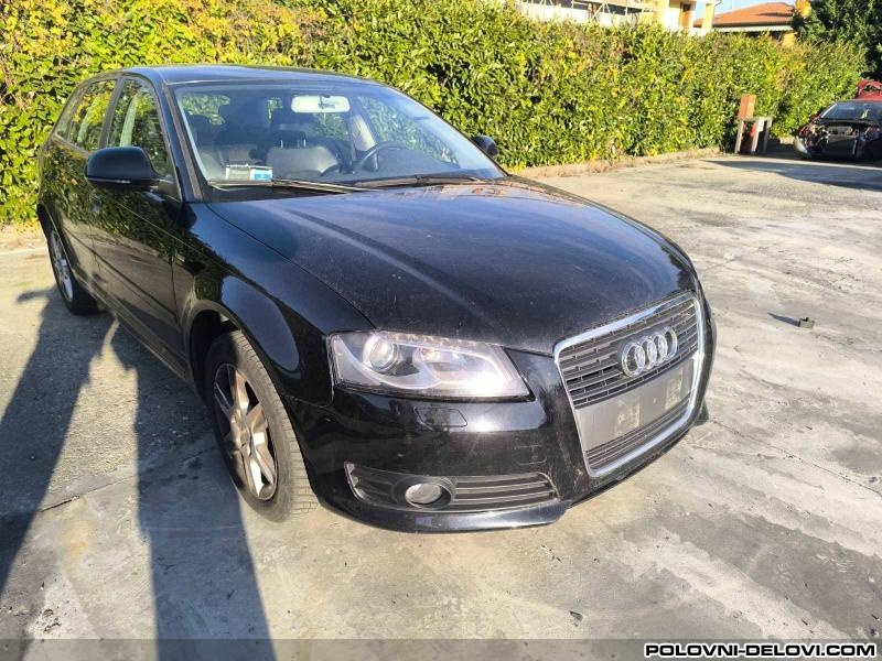 Audi A3 Karoserijski Delovi 08-12