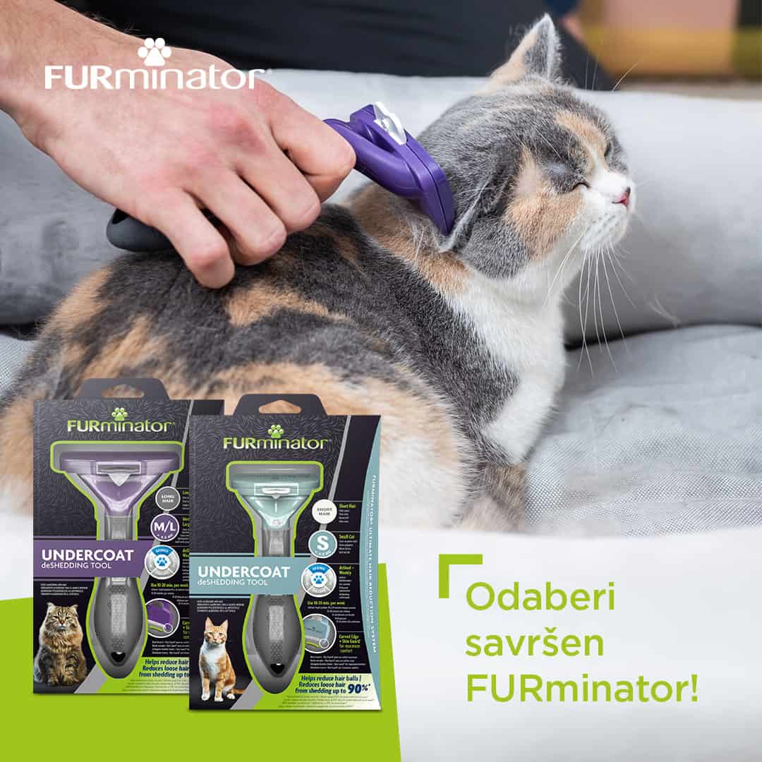 Furminator za kratkodlake mačke Undercoat Short Hair