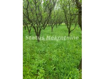 Vrdnik-Plac 1000 m2 u Mirnom kraju-065/385 8880