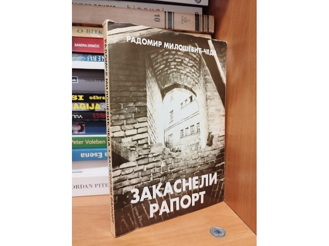 Zakasneli raport, Radomir Milošević- Čeda