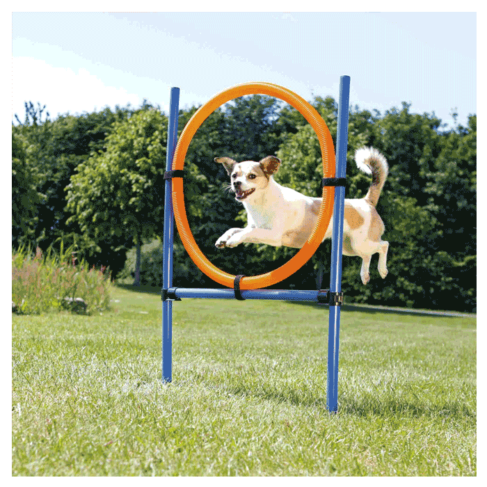 Trixie Agility krug