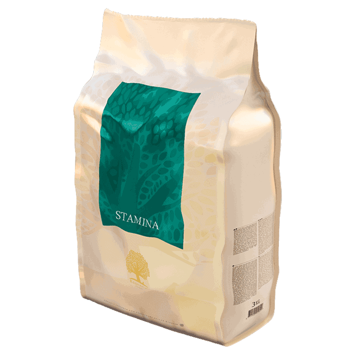 Essential Hrana odrasle pse malih i mini rasa Stamina, 3 kg