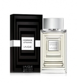 Hommage a L Homme Lalique parfem
Lalique parfem
eau de toilette, 50 ml