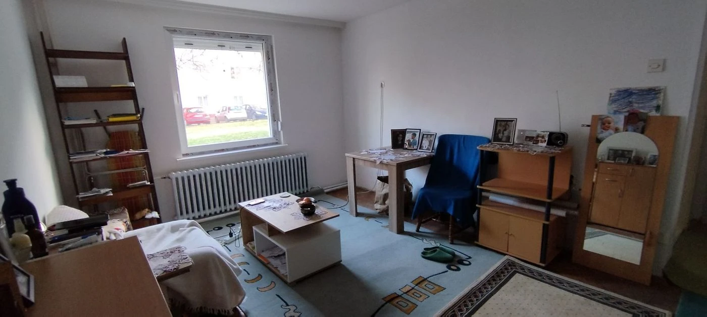 Satelit, Novi Sad