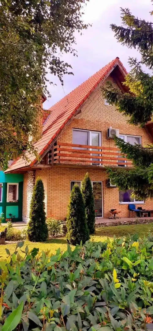 Centar, Čonoplja